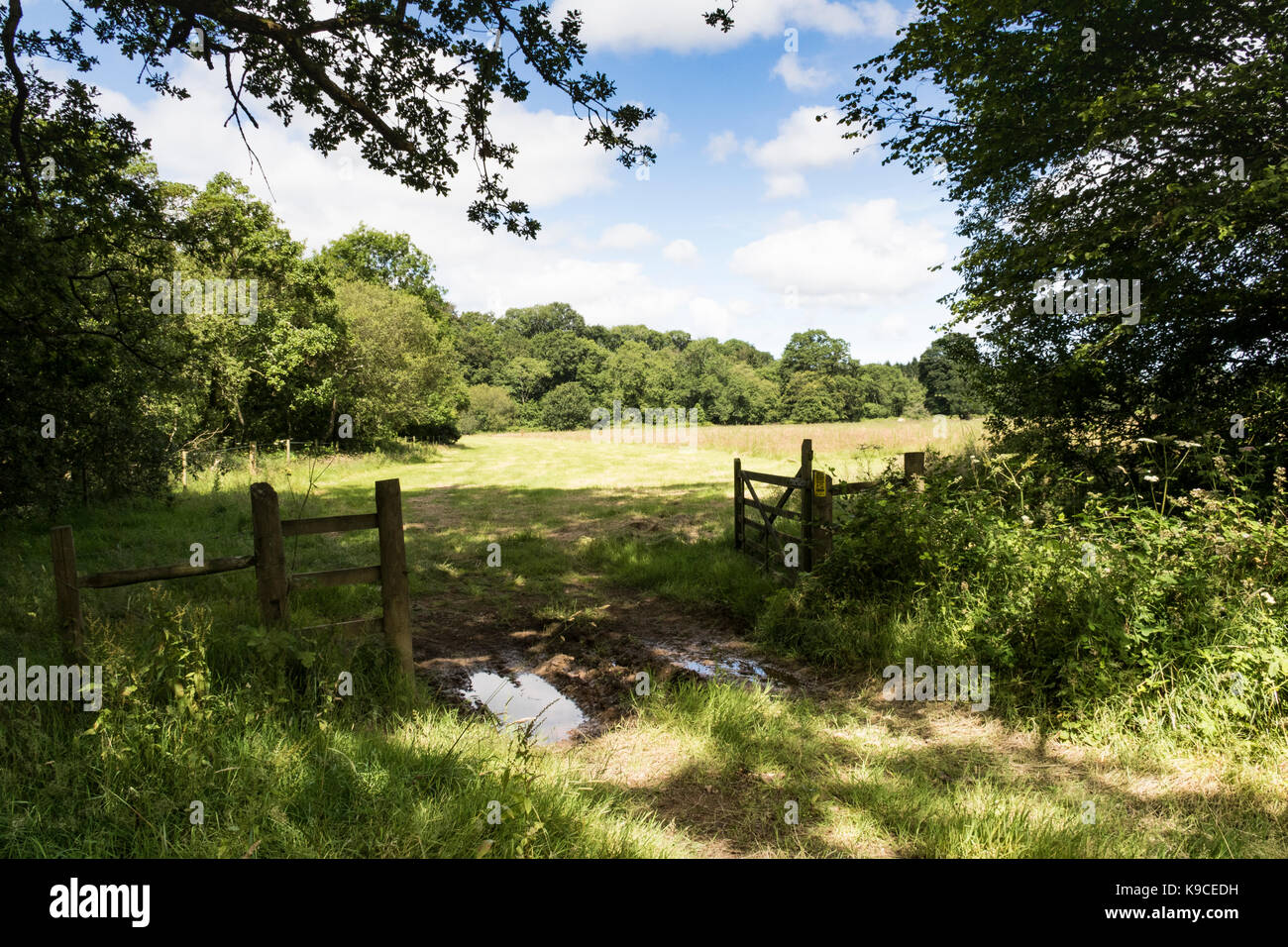Devon Gateway and Tree Lined Field Beside the River Torridge. Devon ...