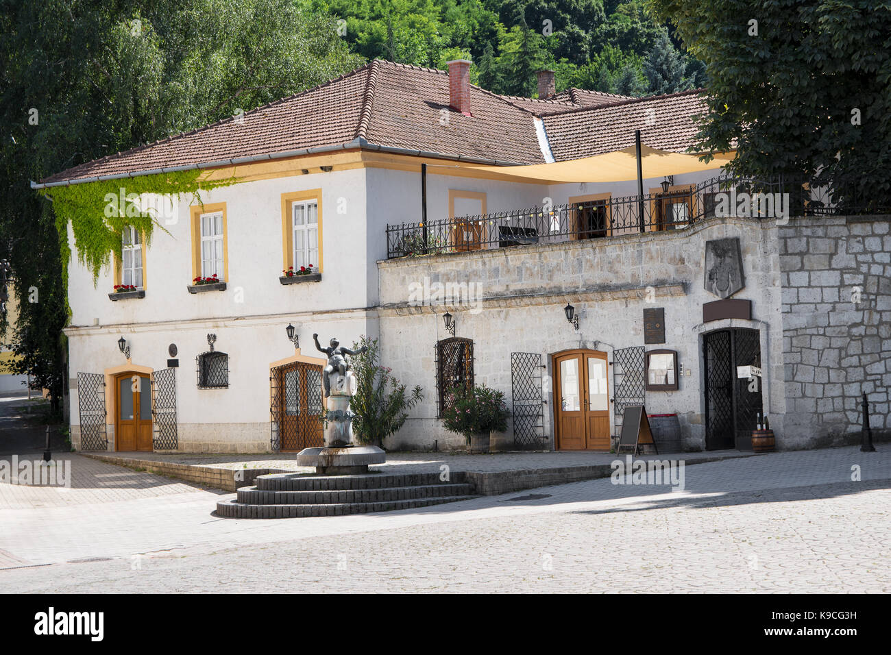 Tokaj Hungary Wine High Resolution Stock Photography and Images - Alamy
