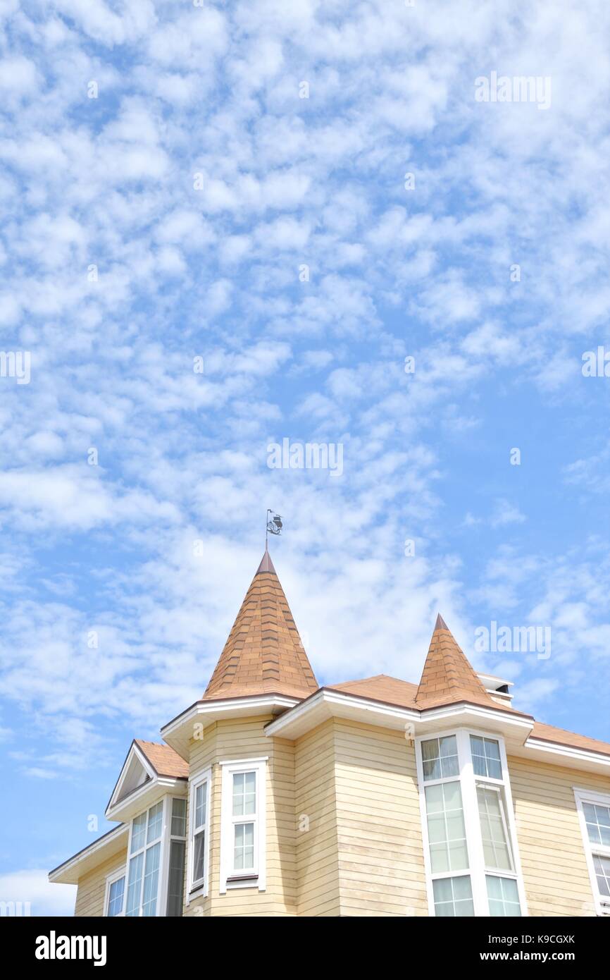 The facade of the building with weathervane on the roof of the House ...