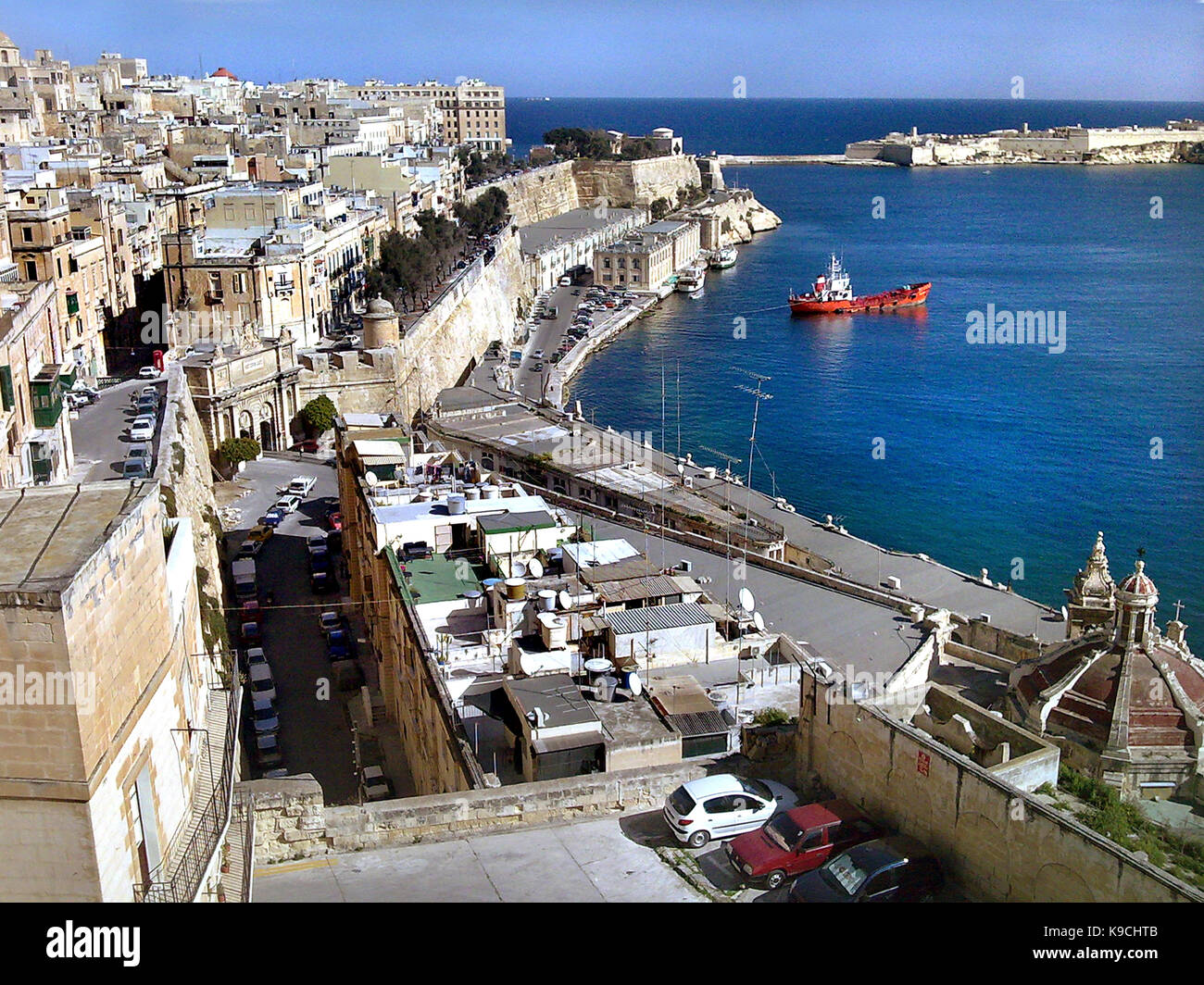 Cats of malta hi-res stock photography and images - Alamy