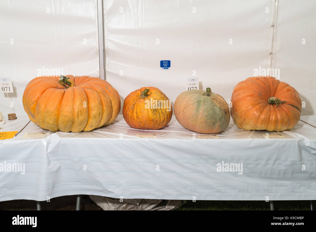 Show freshness hi-res stock photography and images - Alamy