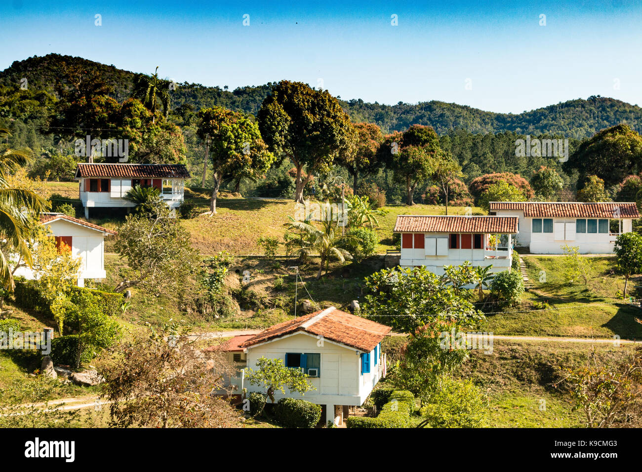 Lakeside rustic cabins and eco-lodges, Las Terrazas, pioneering eco ...