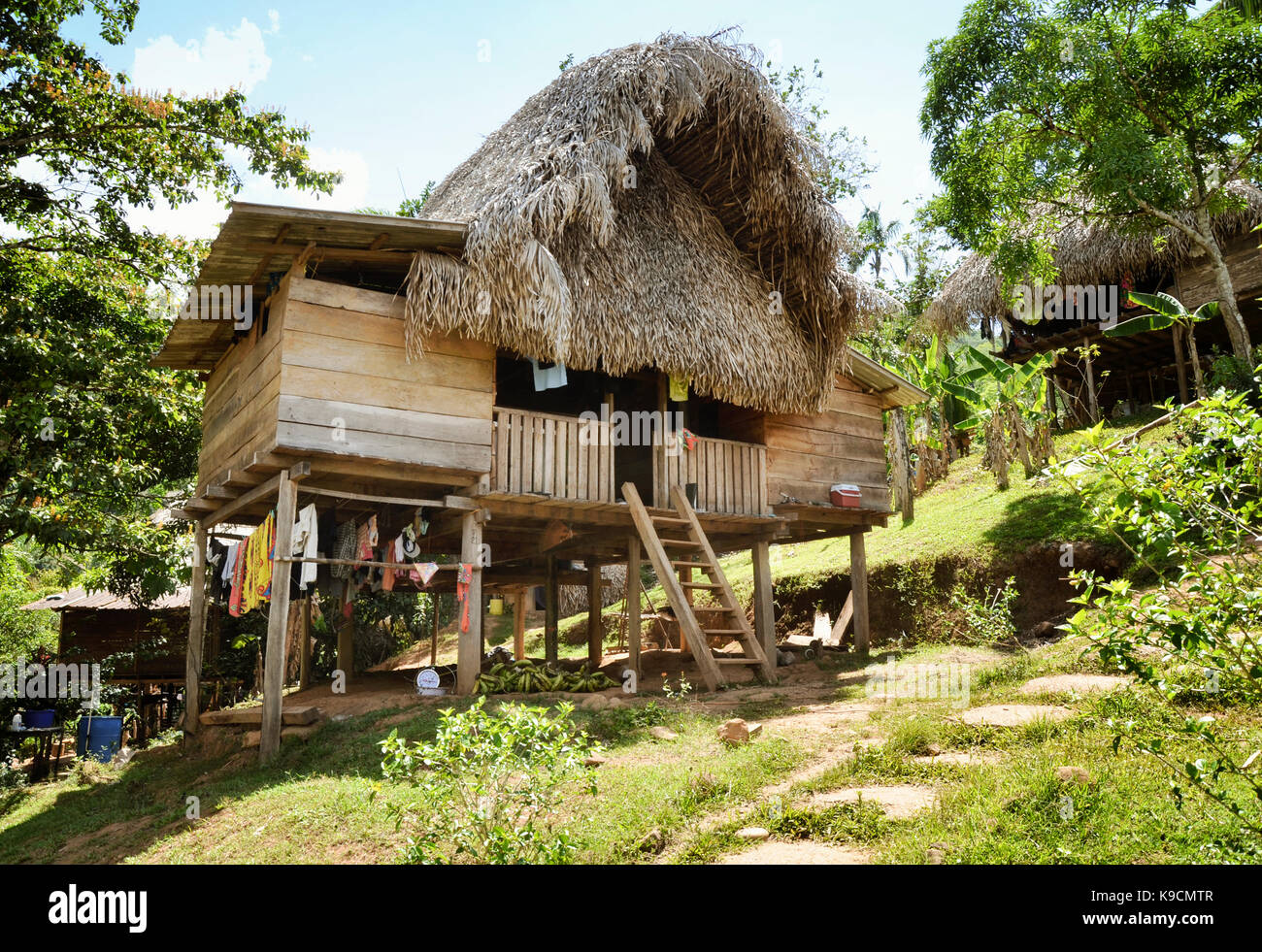 Thatched hut - Native indian home at the Embera Indian village ...
