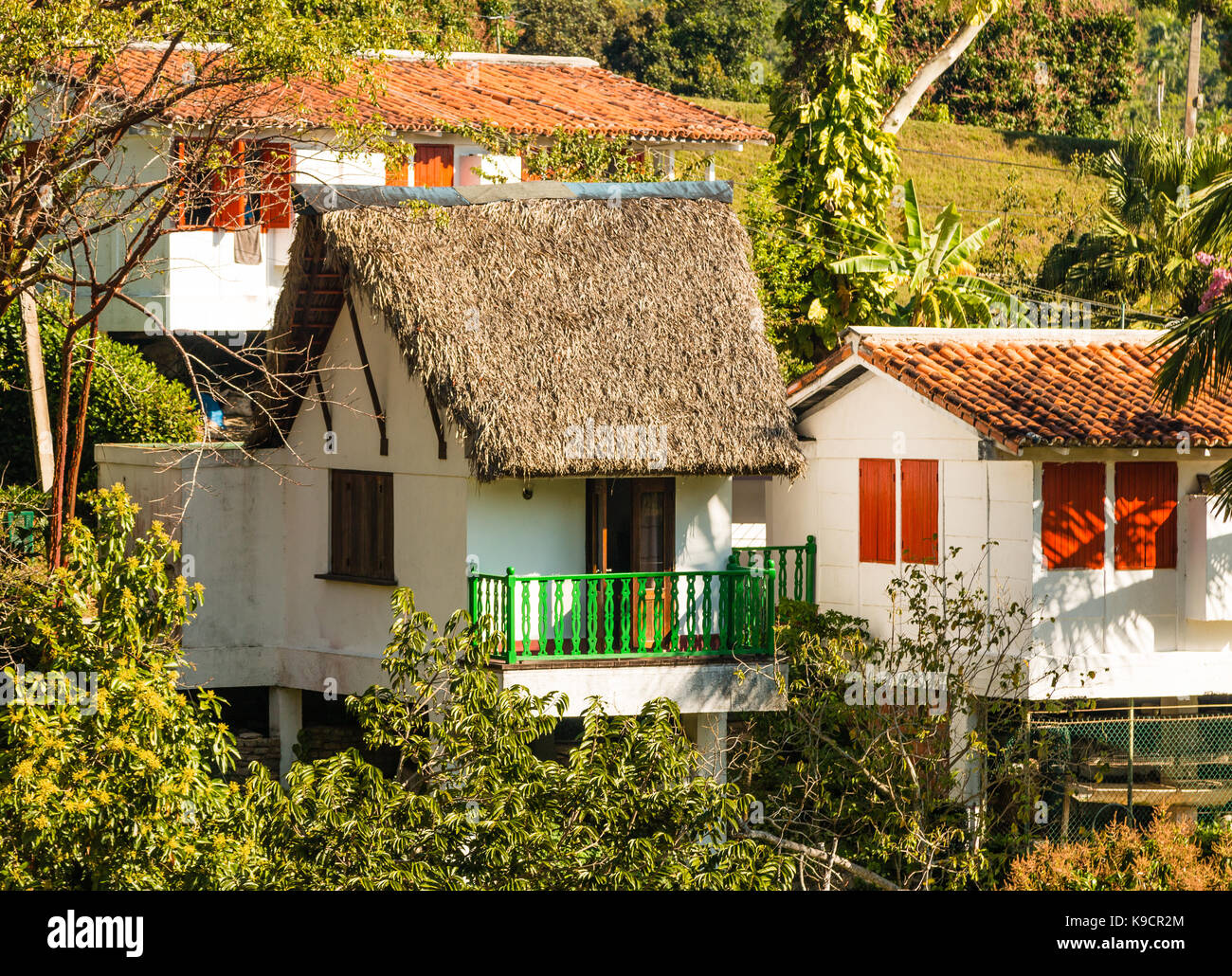 Lakeside rustic cabins and eco-lodges, Las Terrazas, pioneering eco ...