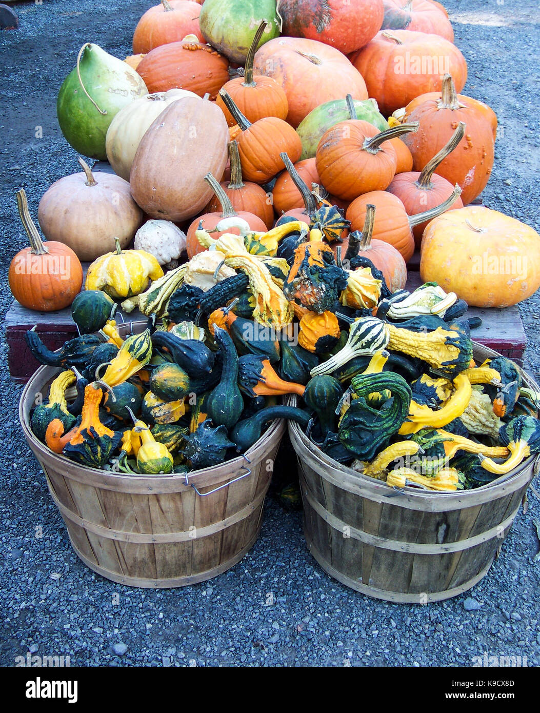 Baskets of pumpkins, squash and gourds Stock Photo - Alamy