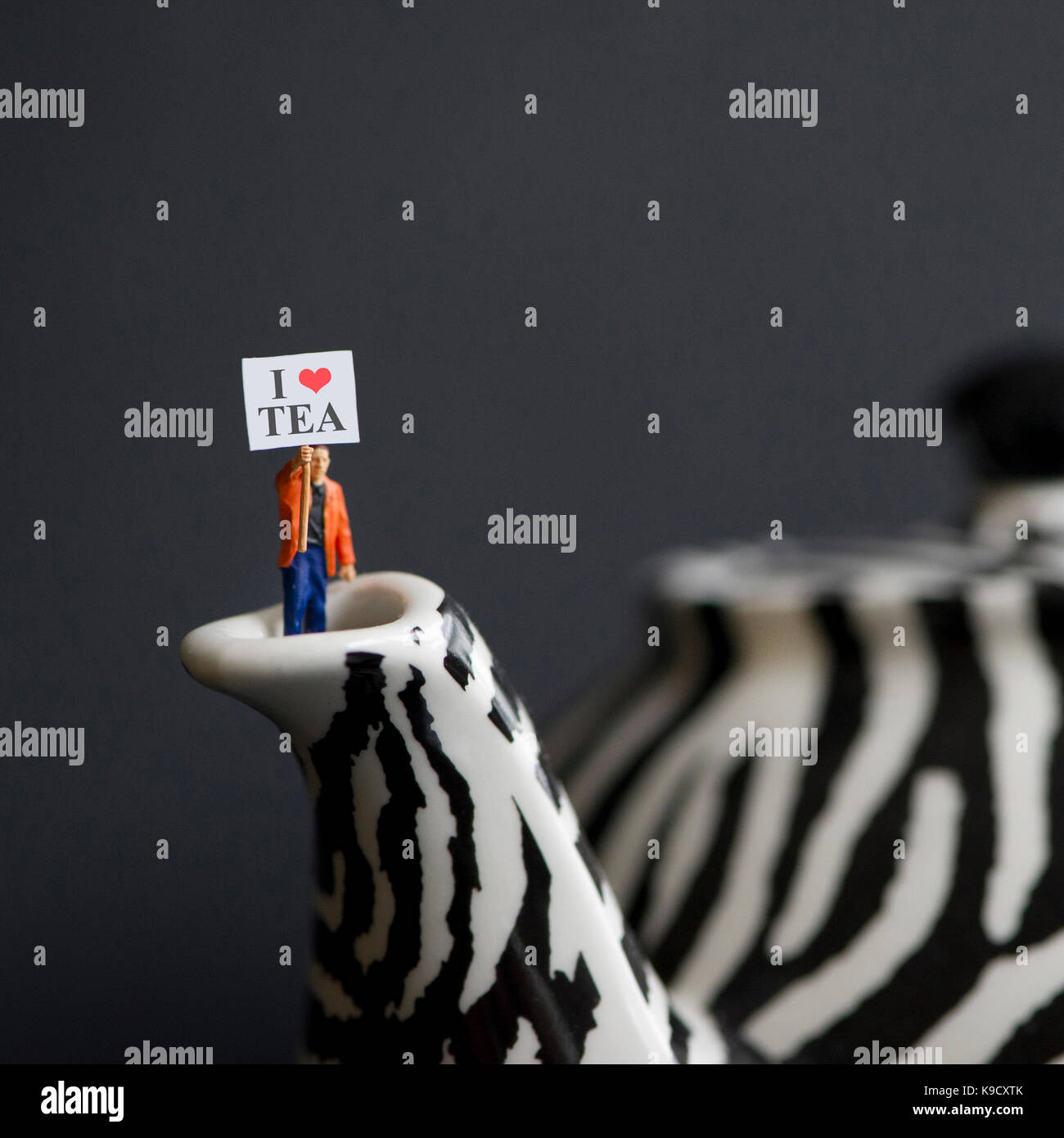 'The Tiny Tea Lover' - Small man climbs up the spout of a zebra ...