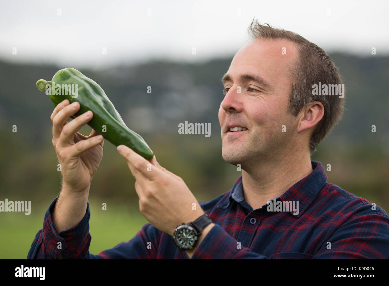 Kevin forte holds hi-res stock photography and images - Alamy