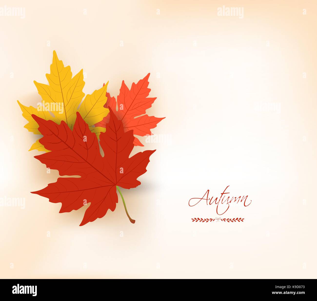 Autumn background with leaves. Back to school Stock Vector Image & Art ...