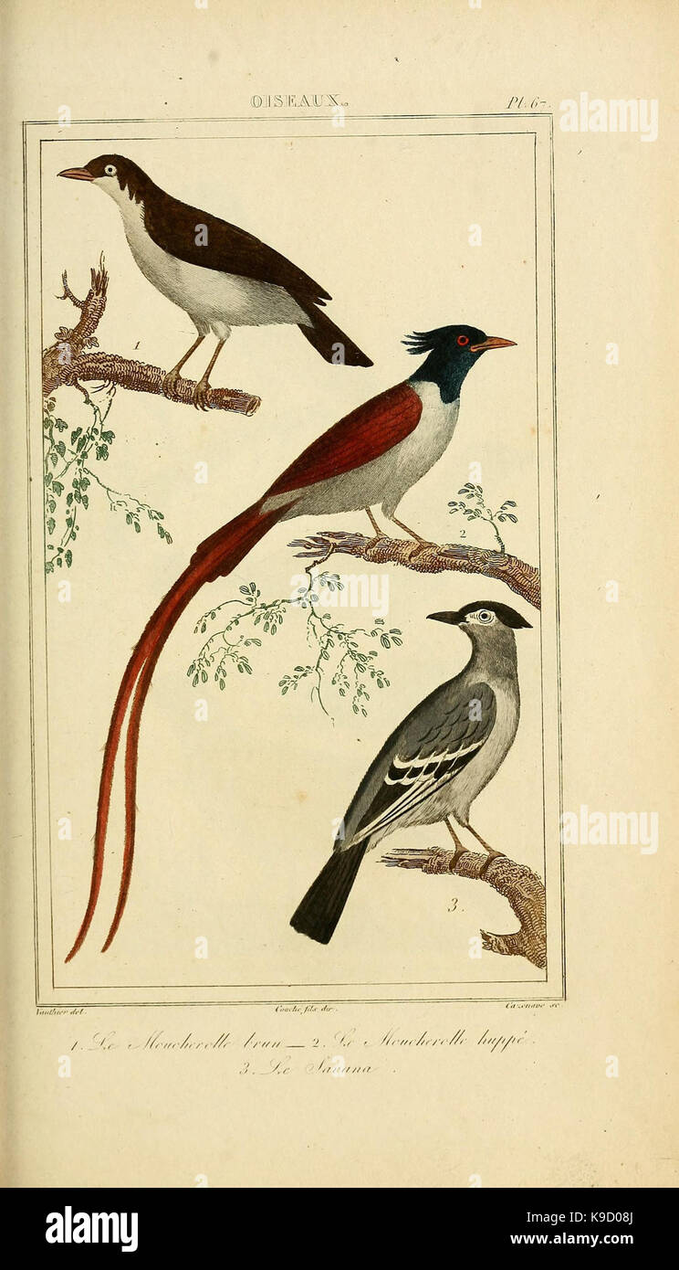 'Oeuvres completes de Buffon' (Complete Works of Buffon) features ...