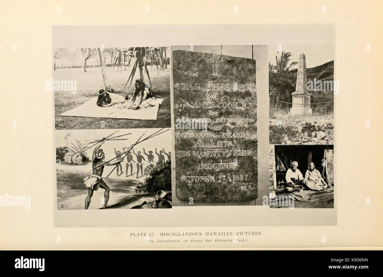 Natural history of Hawaii (Page 84) (7153441813 Stock Photo - Alamy