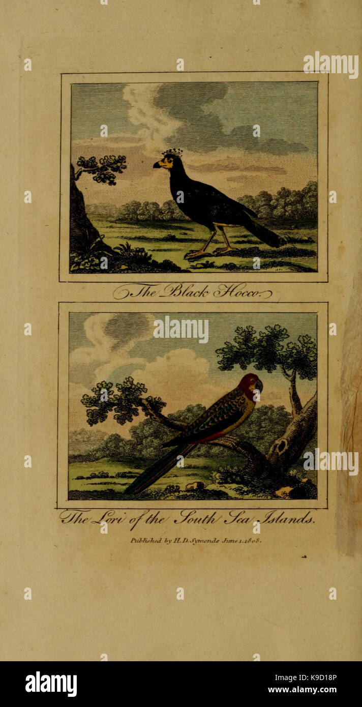 Natural history of birds, fish, insects, and reptiles (10053754526 ...