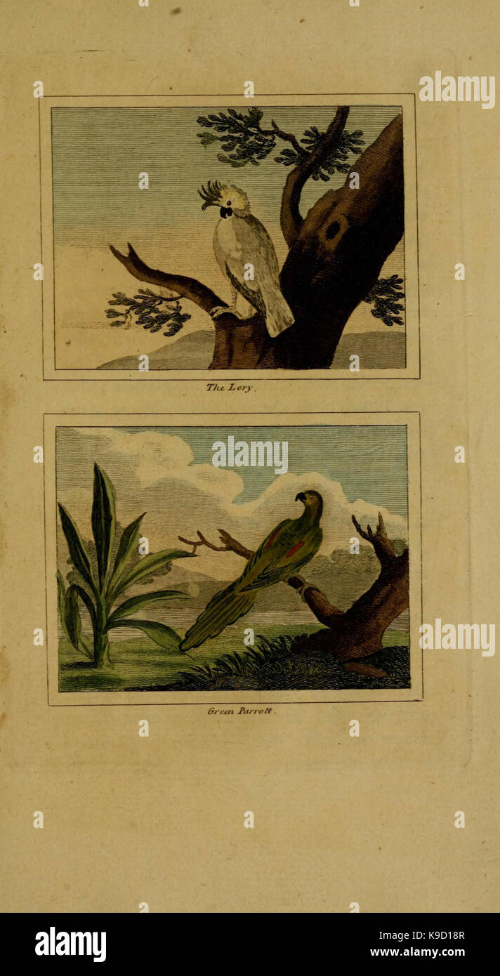 Natural history of birds, fish, insects, and reptiles (Figs. 29 32 ...