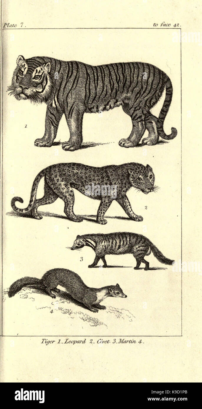 Natural history of animals (Plate 7) (8077084130 Stock Photo - Alamy