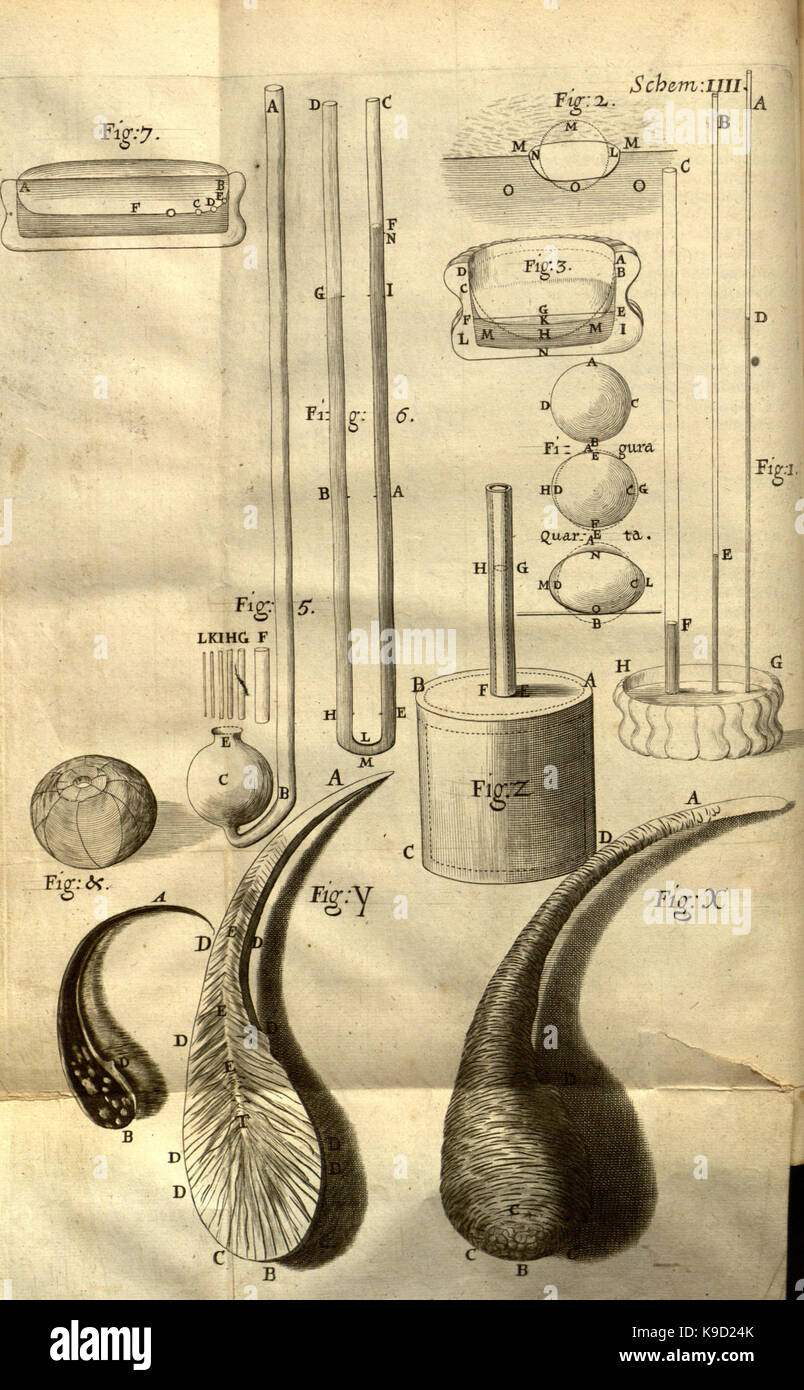 Micrographia, or, Some physiological descriptions of minute bodies made ...