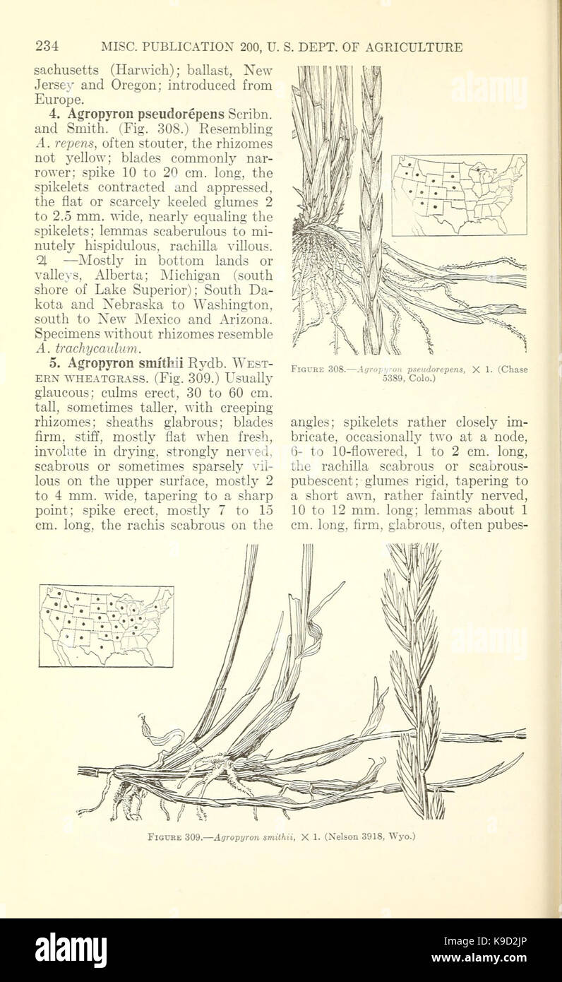 This page from the *Manual of the Grasses of the United States ...
