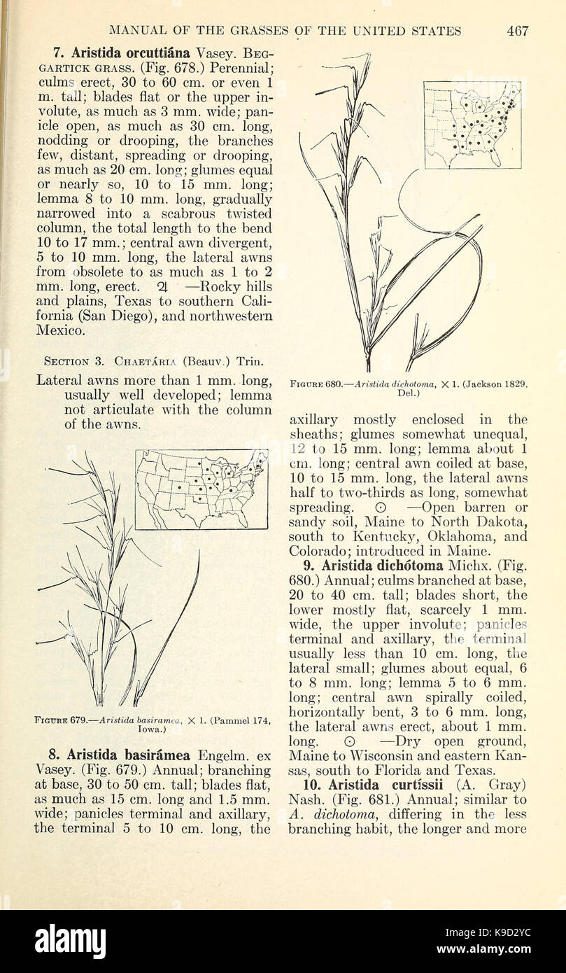 Grasses identification hi-res stock photography and images - Alamy