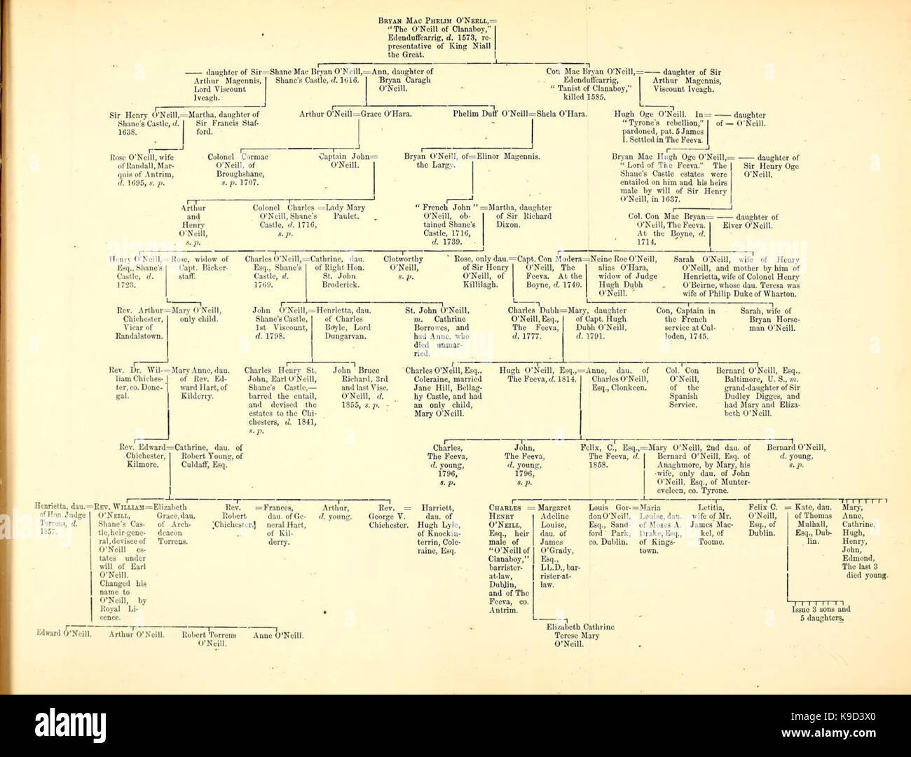 O'Neill Conroy family tree Stock Photo - Alamy