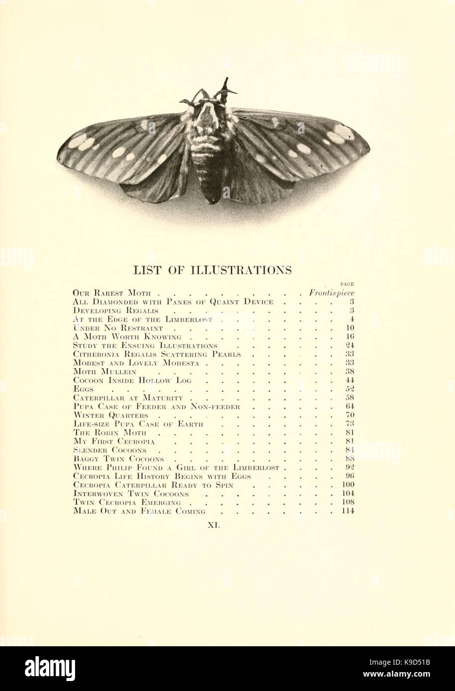 Moths of the Limberlost BHL7754108 Stock Photo - Alamy