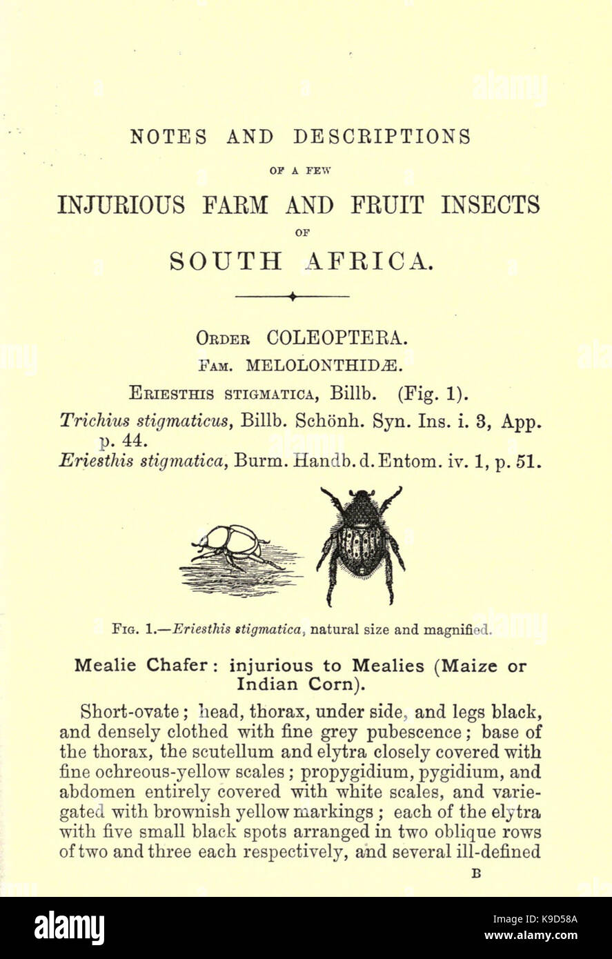 Notes and descriptions of a few injurious farm and fruit insects of ...