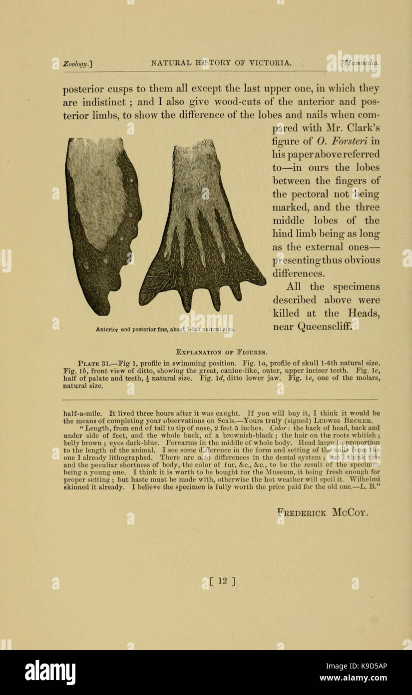 Victoria page hi-res stock photography and images - Alamy