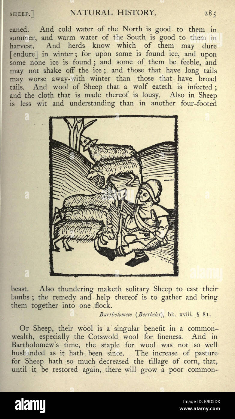 Natural history in Shakespeare's time (Page 285, Fig. 40) BHL19132132 ...