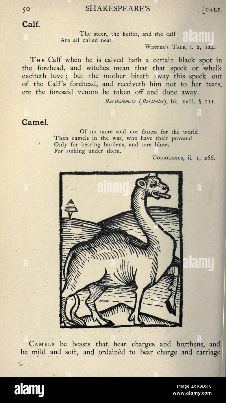 This page from 'Natural History in Shakespeare's Time' illustrates how ...