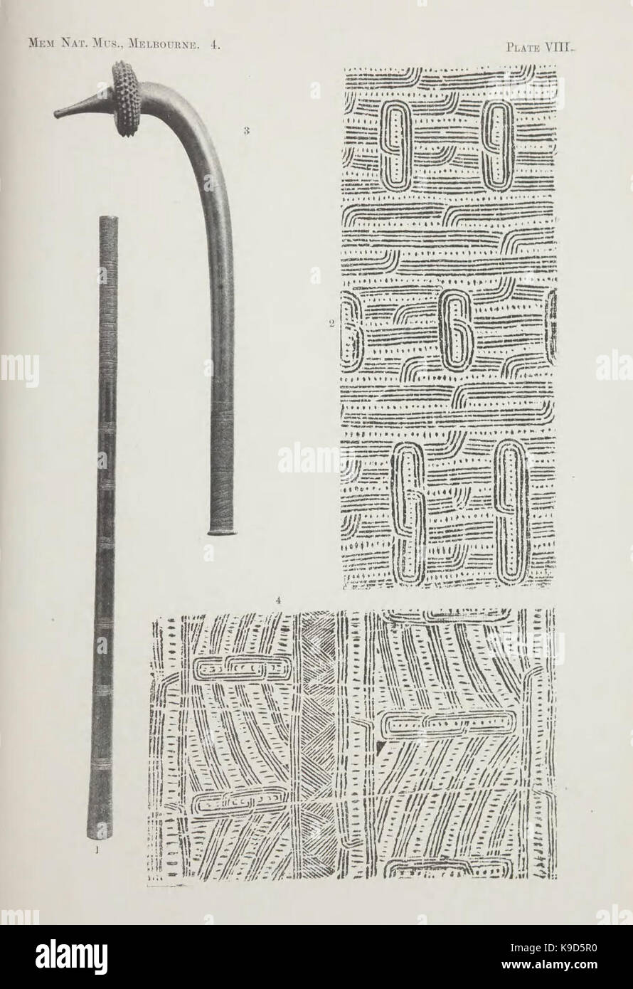 Memoirs of the National Museum, Melbourne (Plate VIII) BHL38672427 ...