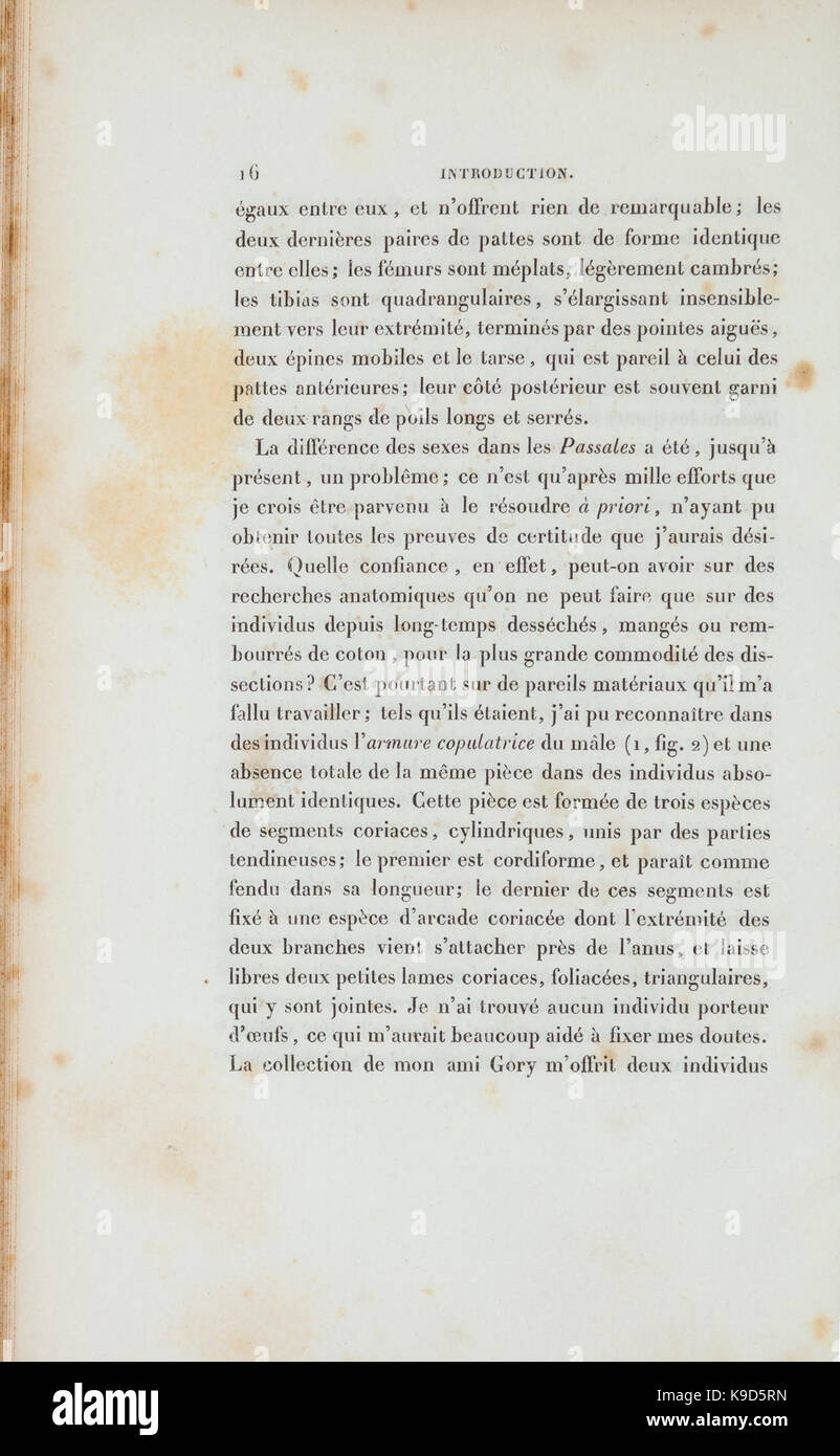 This work details the Passalidae family of beetles and the separate ...