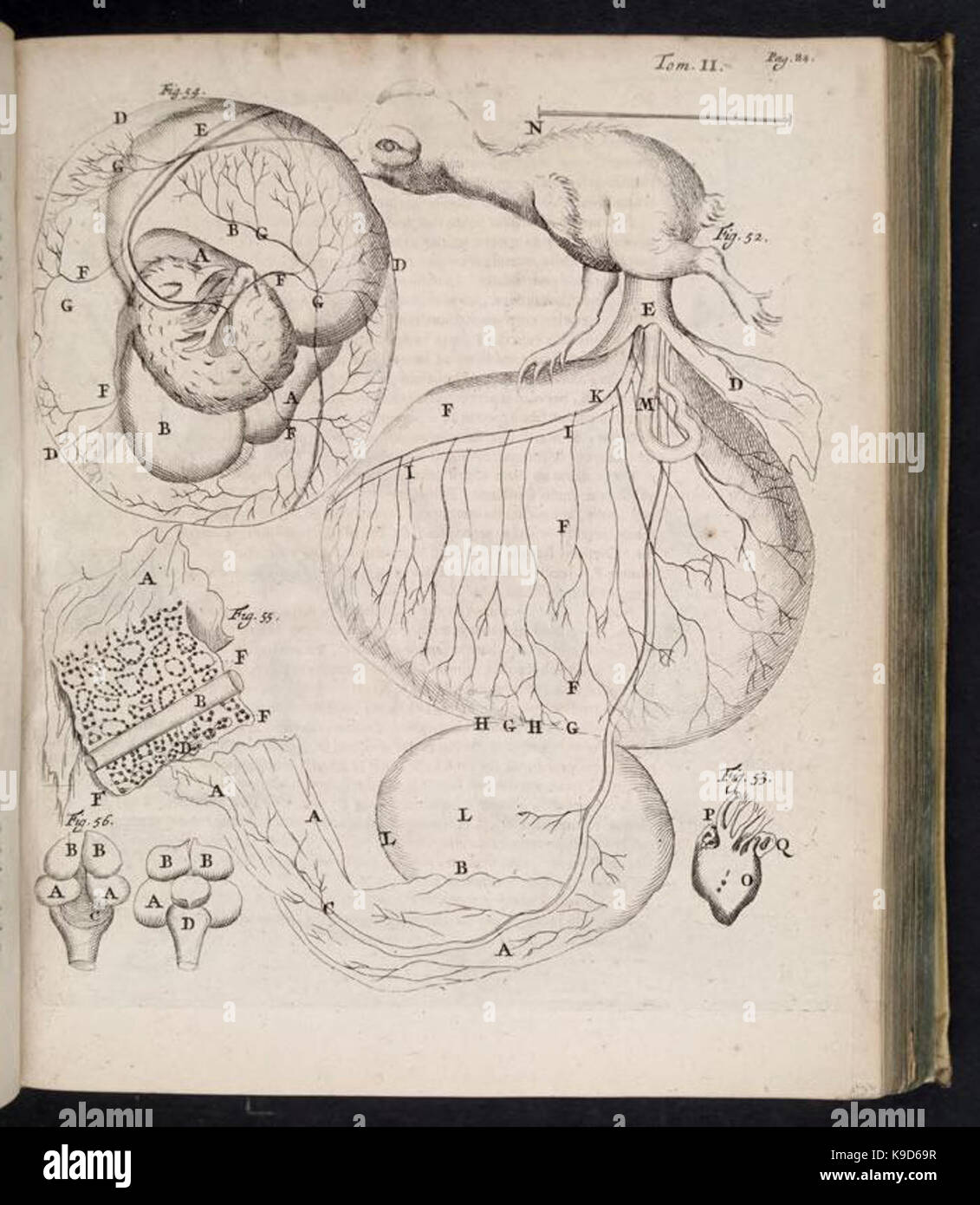 Marcelli Malpighii ... Opera omnia, seu, Thesaurus locupletissimus ...