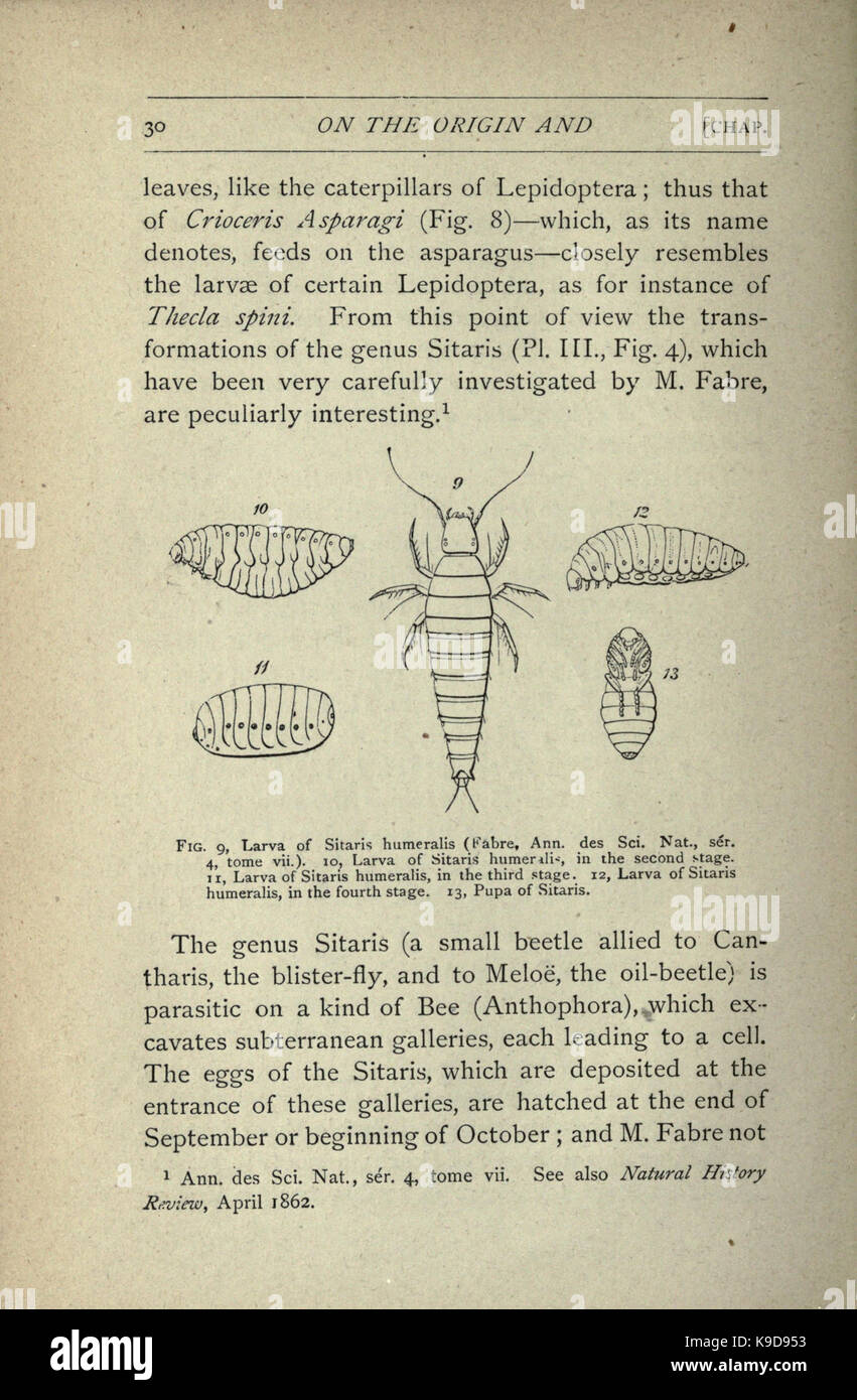 On the origin and metamorphoses of insects (Page 30) BHL23901581 Stock ...