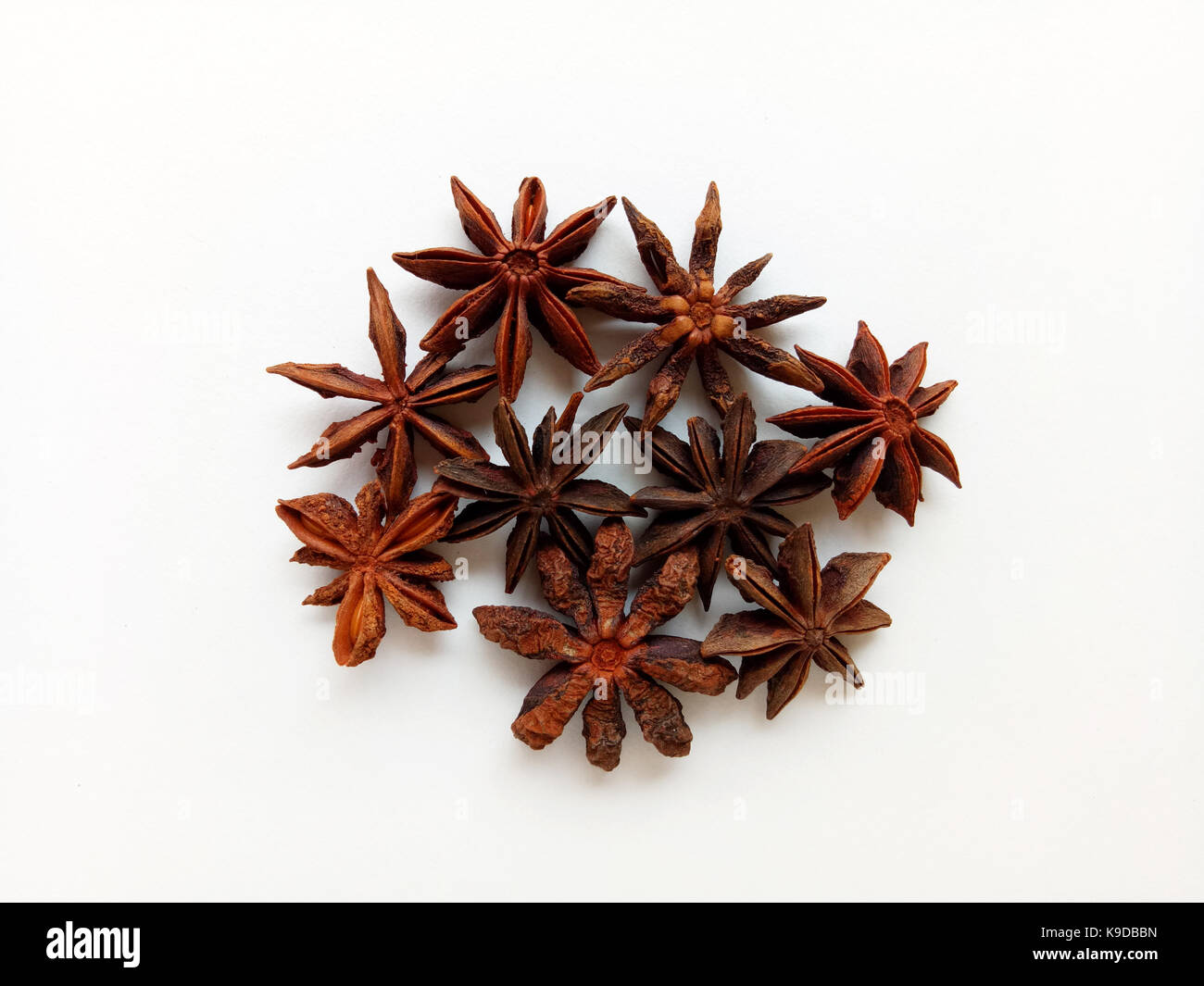 Badiyan ke phool hi-res stock photography and images - Alamy