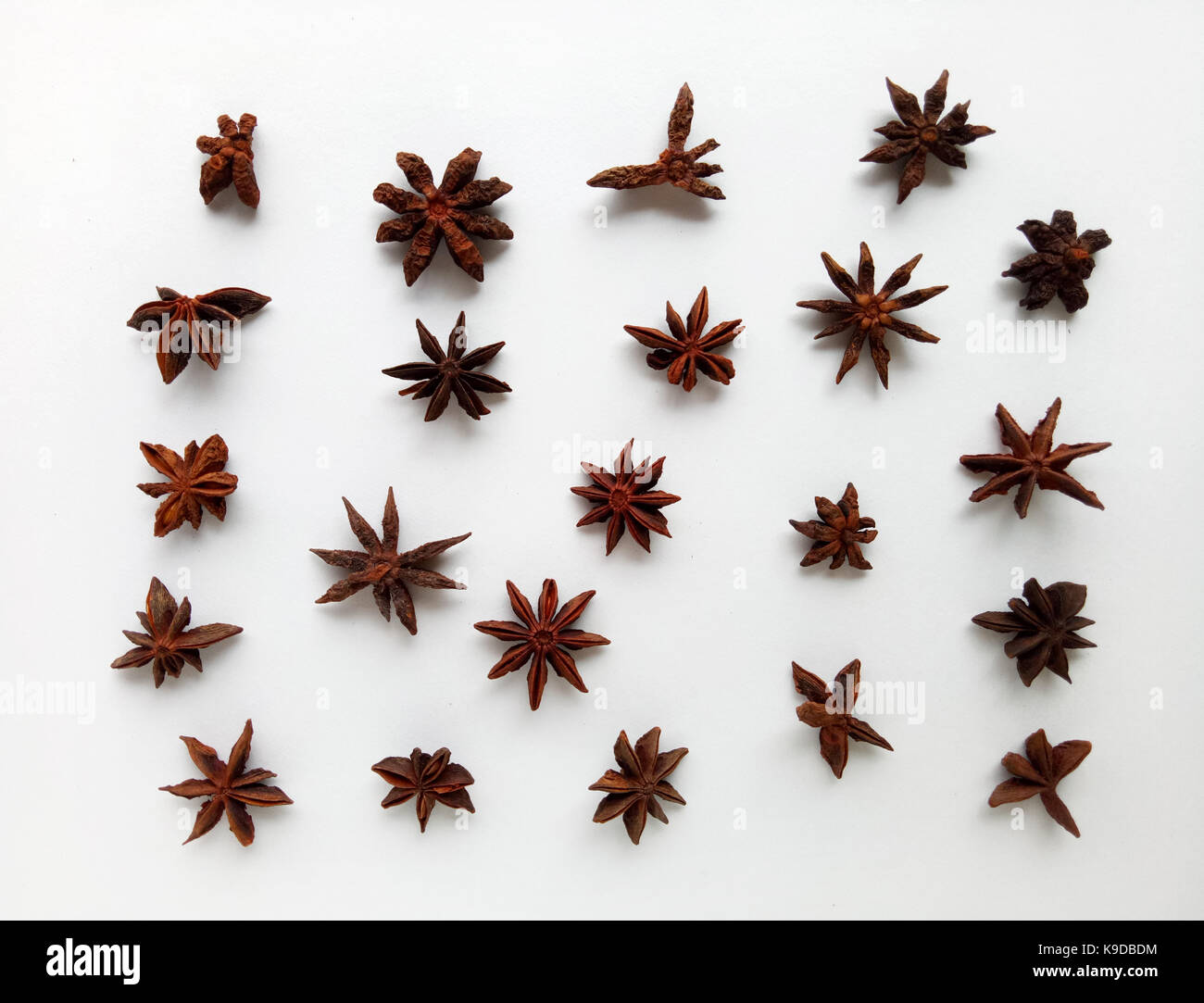 Badiyan ke phool hi-res stock photography and images - Alamy