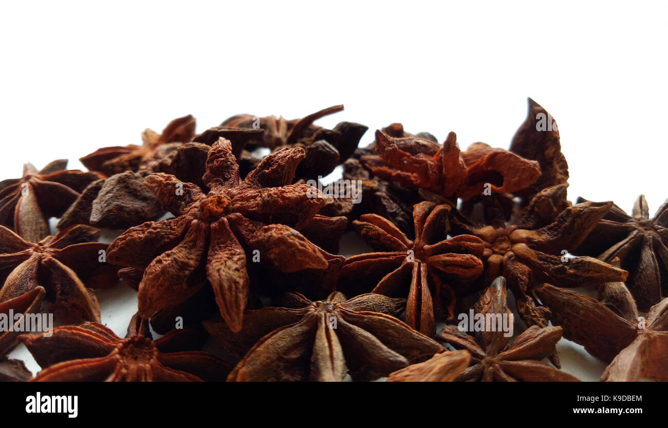 Badiyan ke phool hi-res stock photography and images - Alamy