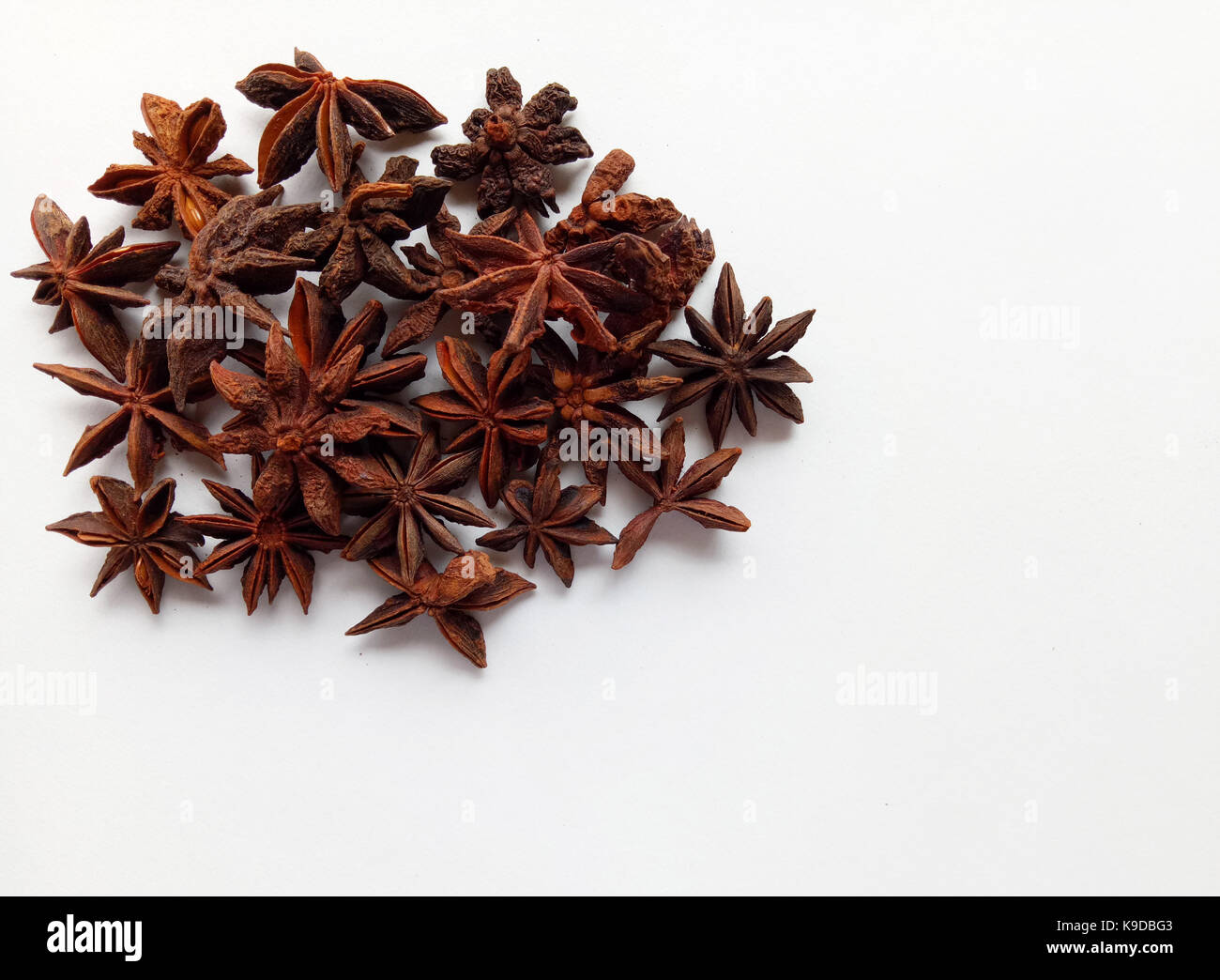 Badiyan ke phool hi-res stock photography and images - Alamy