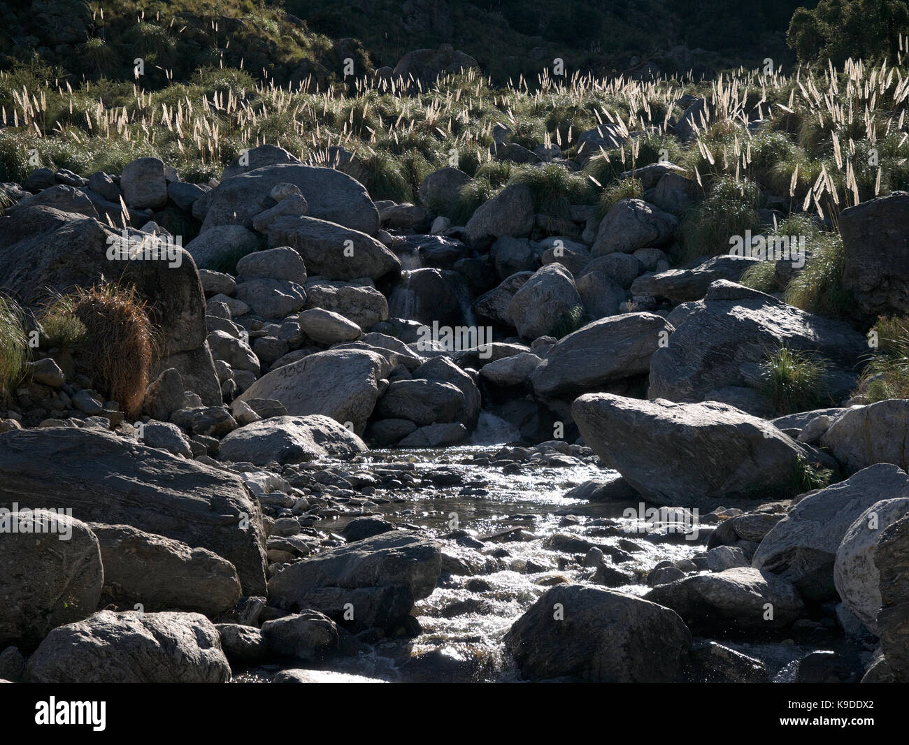 Villa de Merlo, San Luis, Argentina - 2017: The Pasos Malos creek at ...