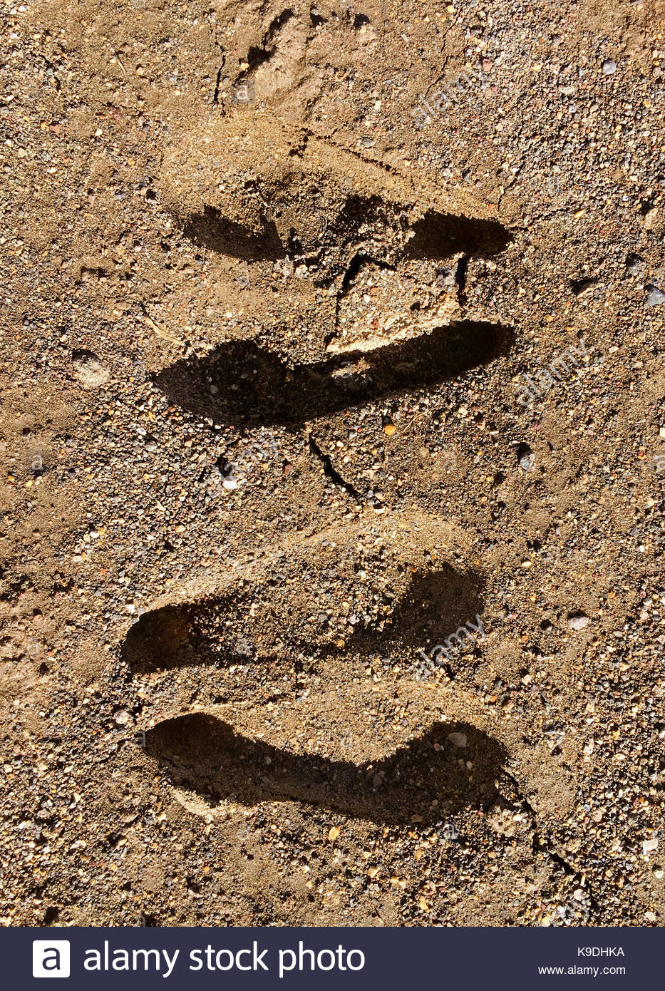 Modoc County High Resolution Stock Photography and Images - Alamy