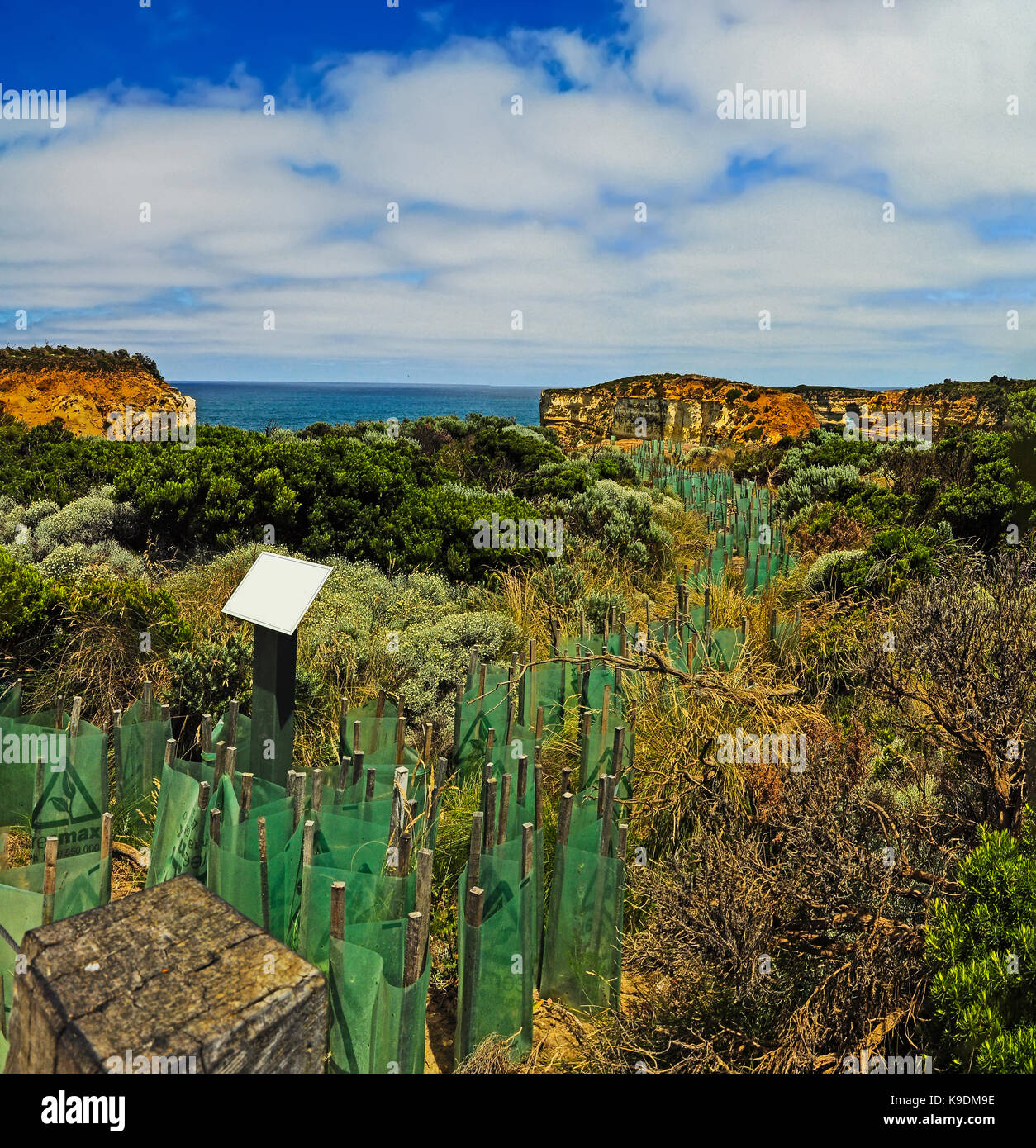 All shades of blue of the Pacific ocean. The Australian coast Stock ...