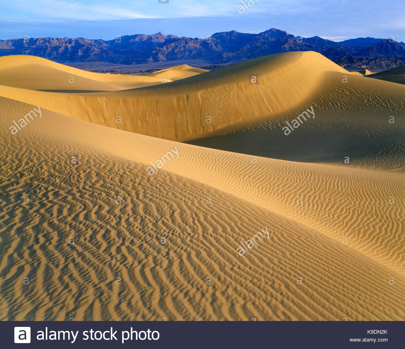 Sand Dunes California Stock Photos & Sand Dunes California Stock Images ...
