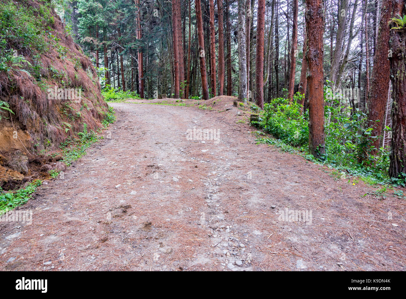 Wide path hi-res stock photography and images - Alamy