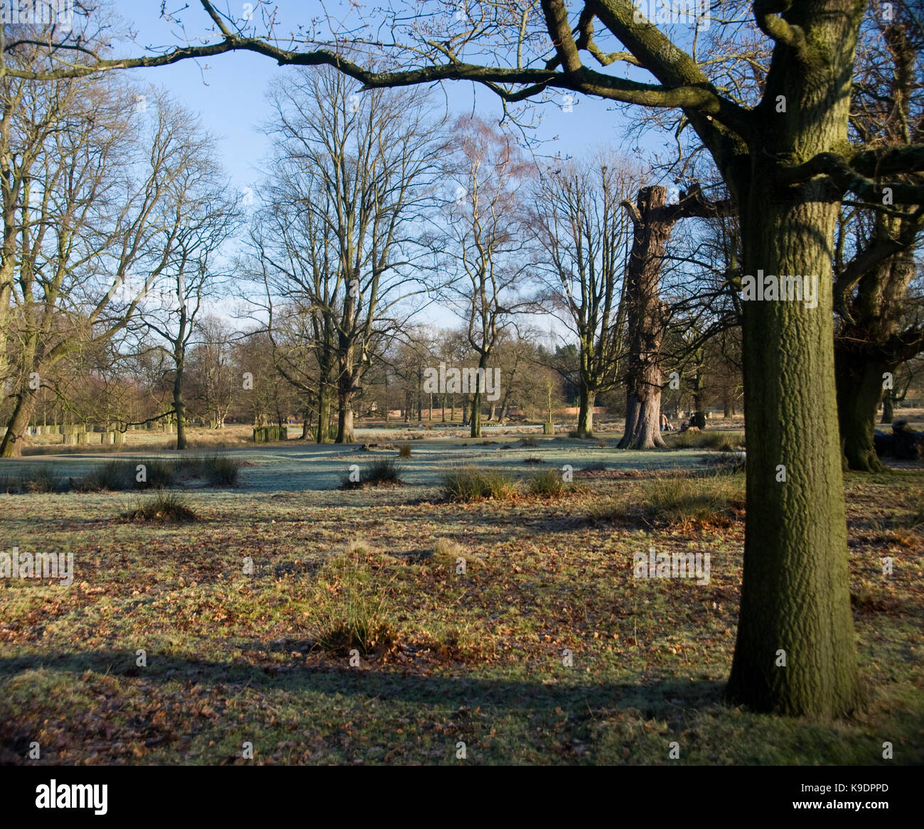 Dunham Massey, Altrincham, Cheshire Stock Photo - Alamy