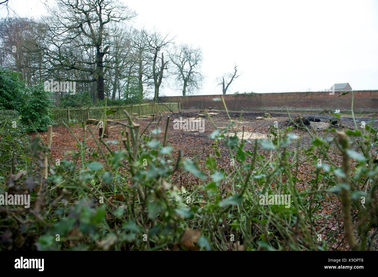 Dunham Massey, Altrincham, Cheshire Stock Photo - Alamy