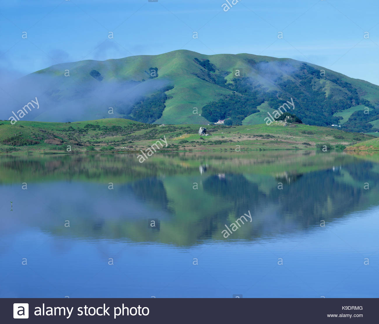 Marin Park High Resolution Stock Photography and Images - Alamy
