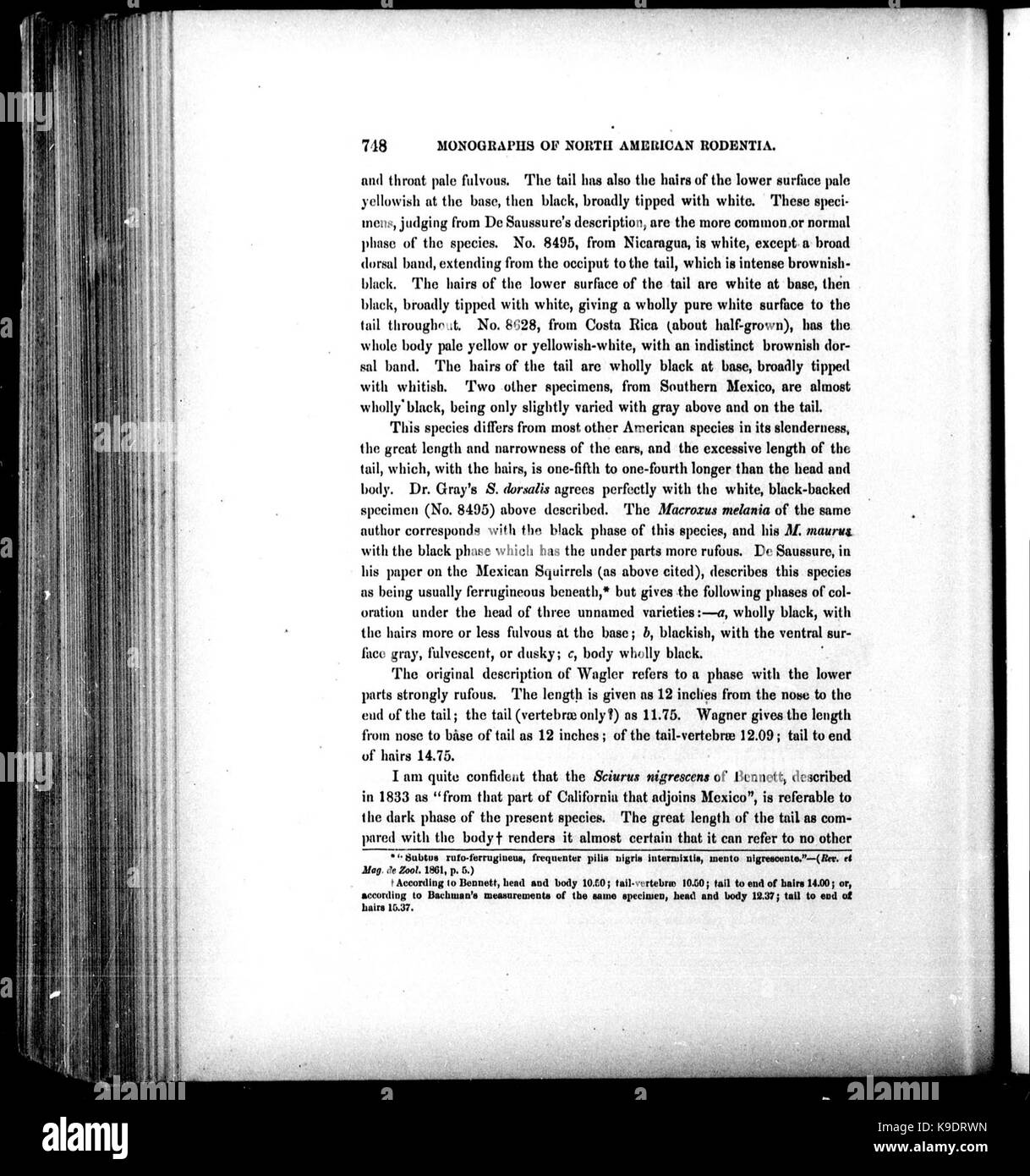 Details contributes Black and White Stock Photos & Images - Alamy