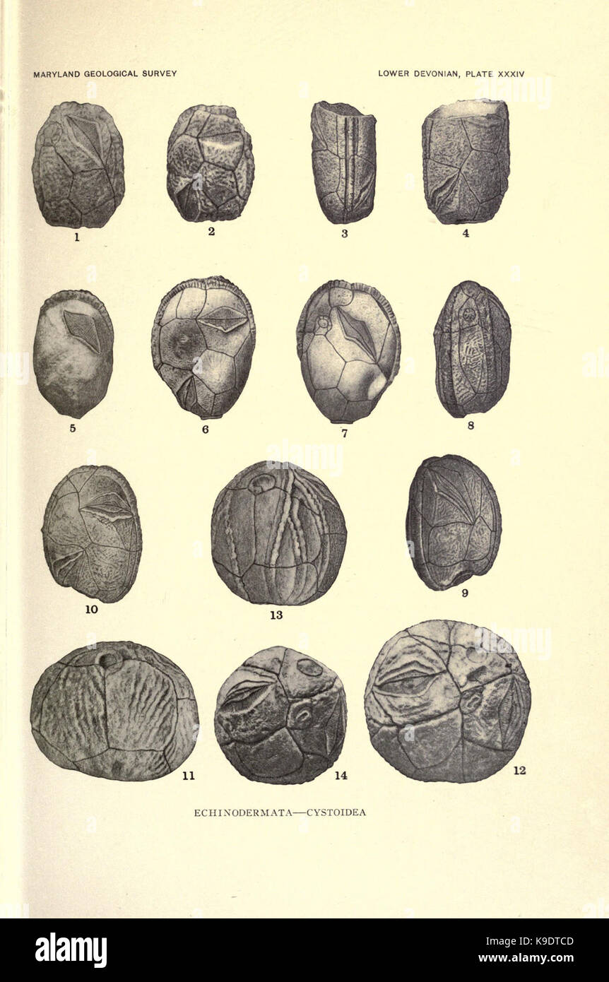 Geological units hi-res stock photography and images - Alamy