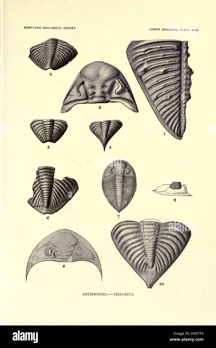 A geological survey report from Maryland, featuring detailed studies of ...