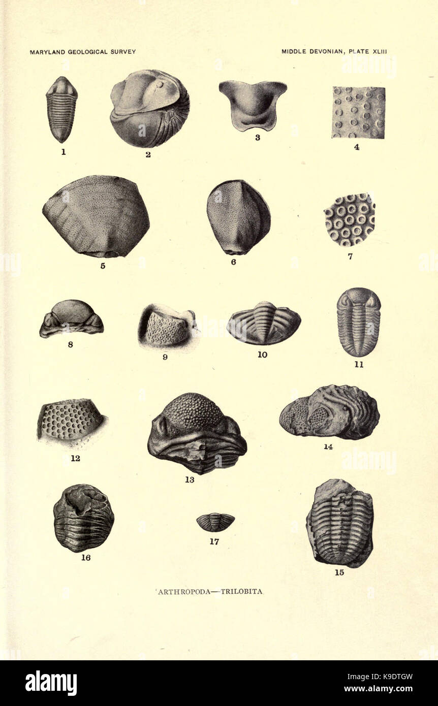 Rock core samples geological hi-res stock photography and images - Alamy