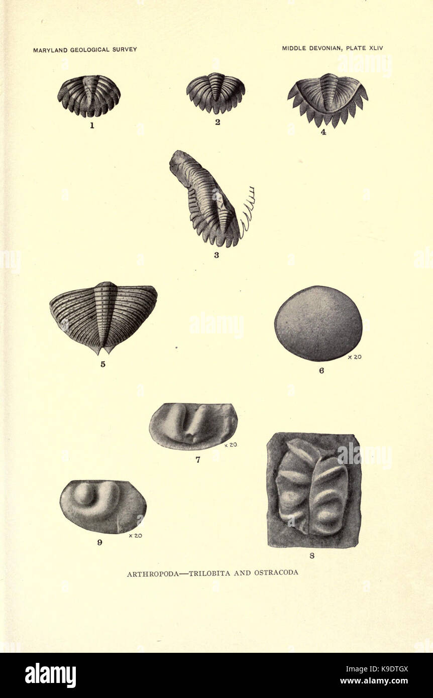 Soil types chart hi-res stock photography and images - Alamy