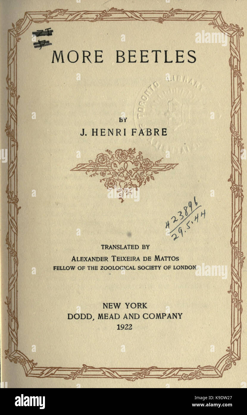 More beetles BHL18483061 Stock Photo - Alamy