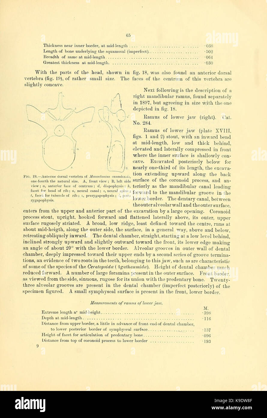 On Vertebrata of the Mid Cretaceous of the North West Territory (Page ...