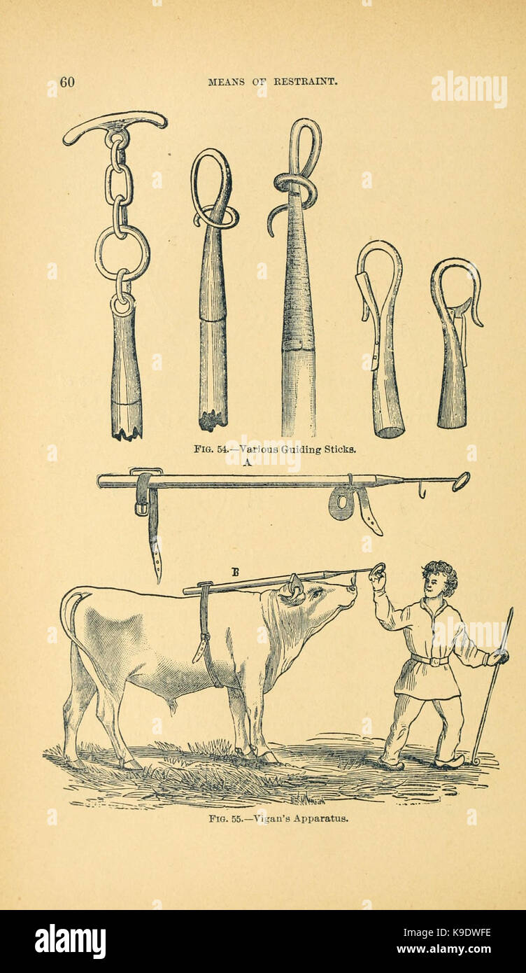 Manual of operative veterinary surgery (Page 60) BHL20475420 Stock ...